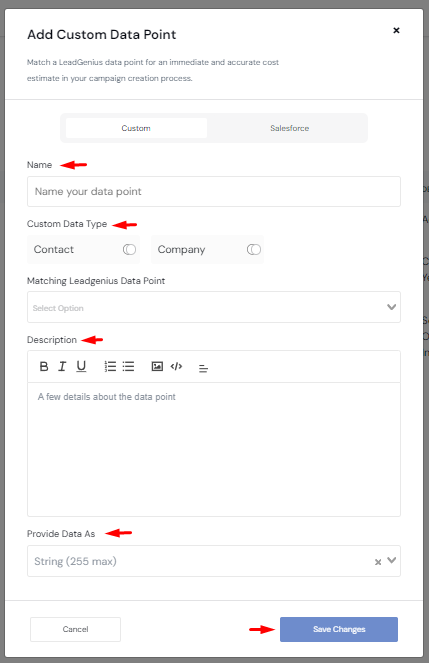 Creating Custom Data Points – LeadGenius